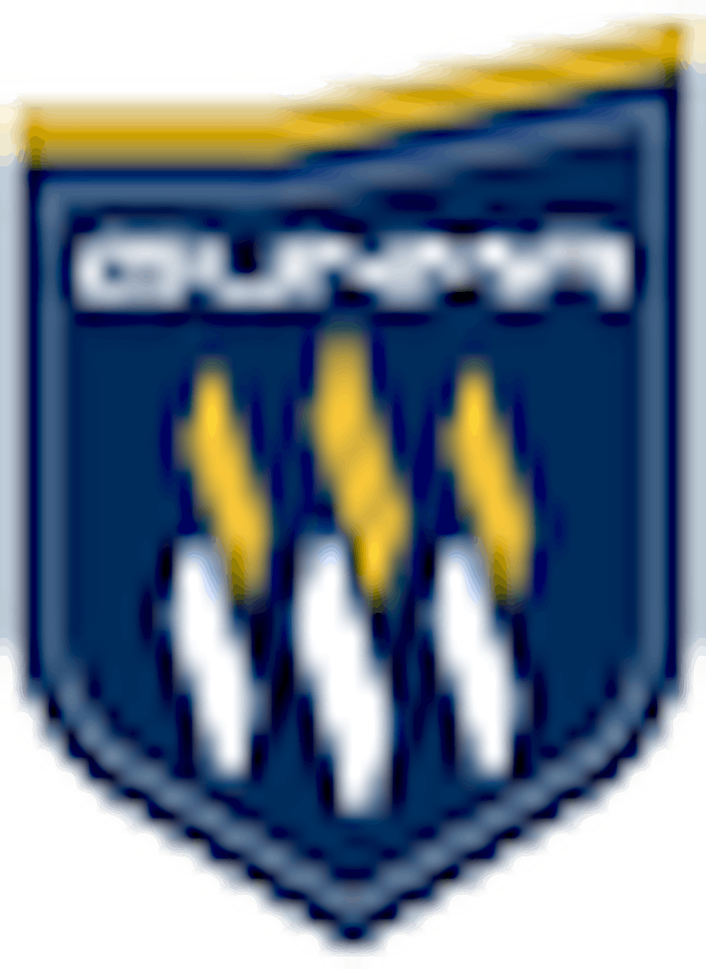 JFAクラウドファンディング｜世界一、サッカーで幸せな国になるために、みんなの夢を応援するクラ - CAMPFIRE (キャンプファイヤー)