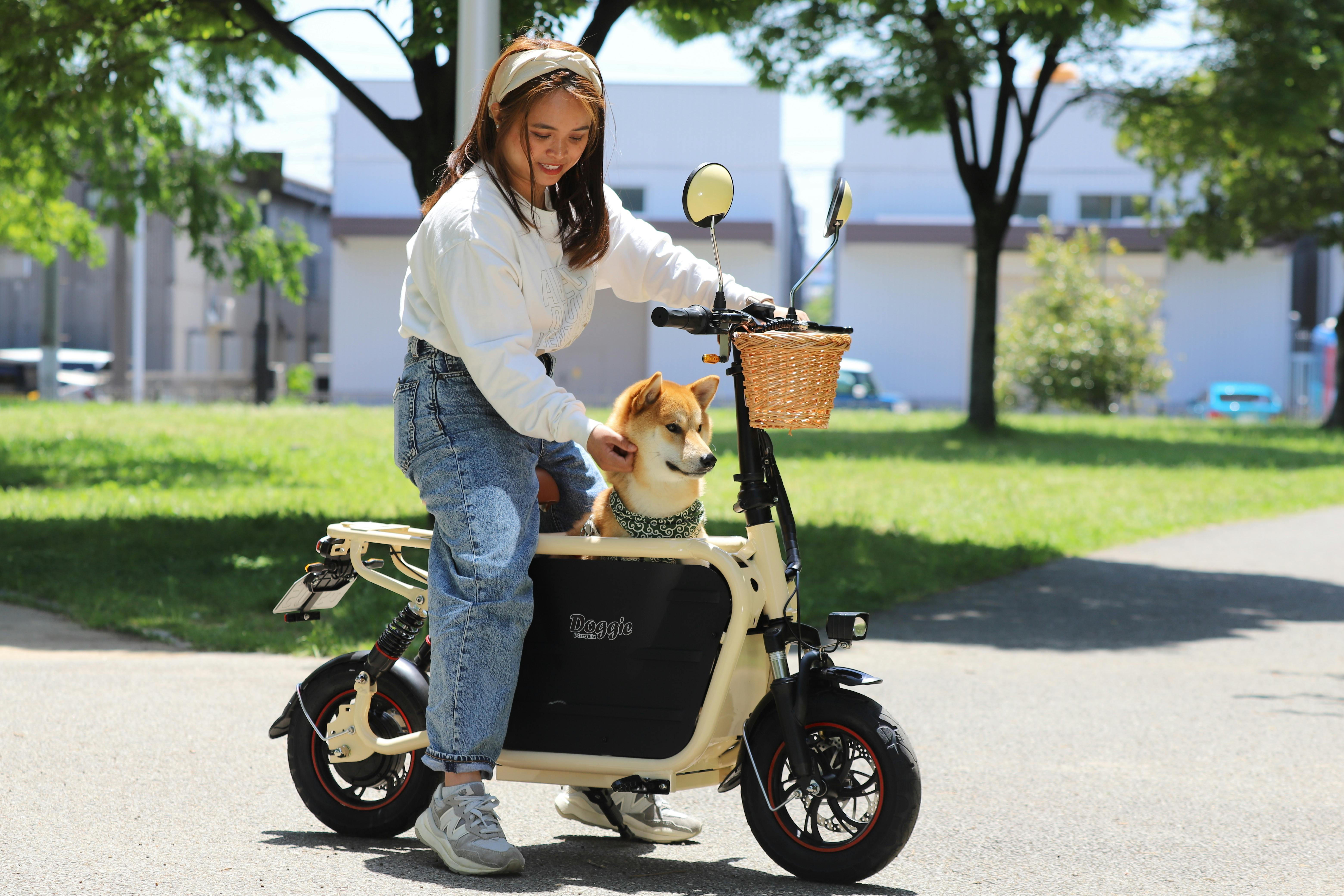 ペットと乗れるバイク 「 E-Carry Bike Doggie 」ドギー 原付 ペットと乗れるバイク 「 E-Carry Bike Doggie 」ドギー 原付