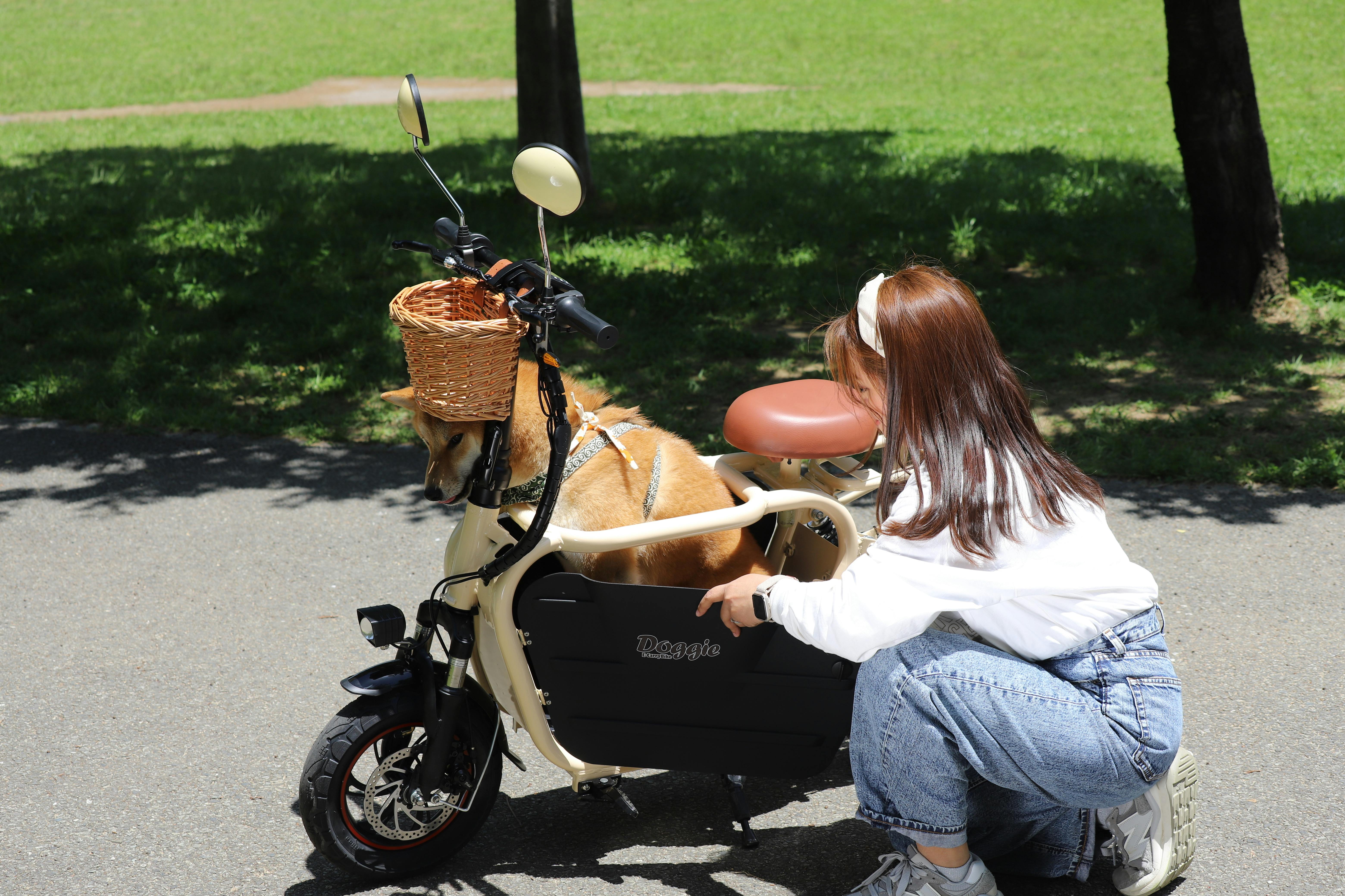 ペットと乗れるバイク 「 E-Carry Bike Doggie 」ドギー 原付 ペットと乗れるバイク 「 E-Carry Bike Doggie 」ドギー 原付