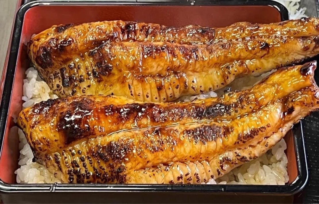 私たちの霞ヶ浦をアメリカナマズから助けてください！ - CAMPFIRE (キャンプファイヤー)