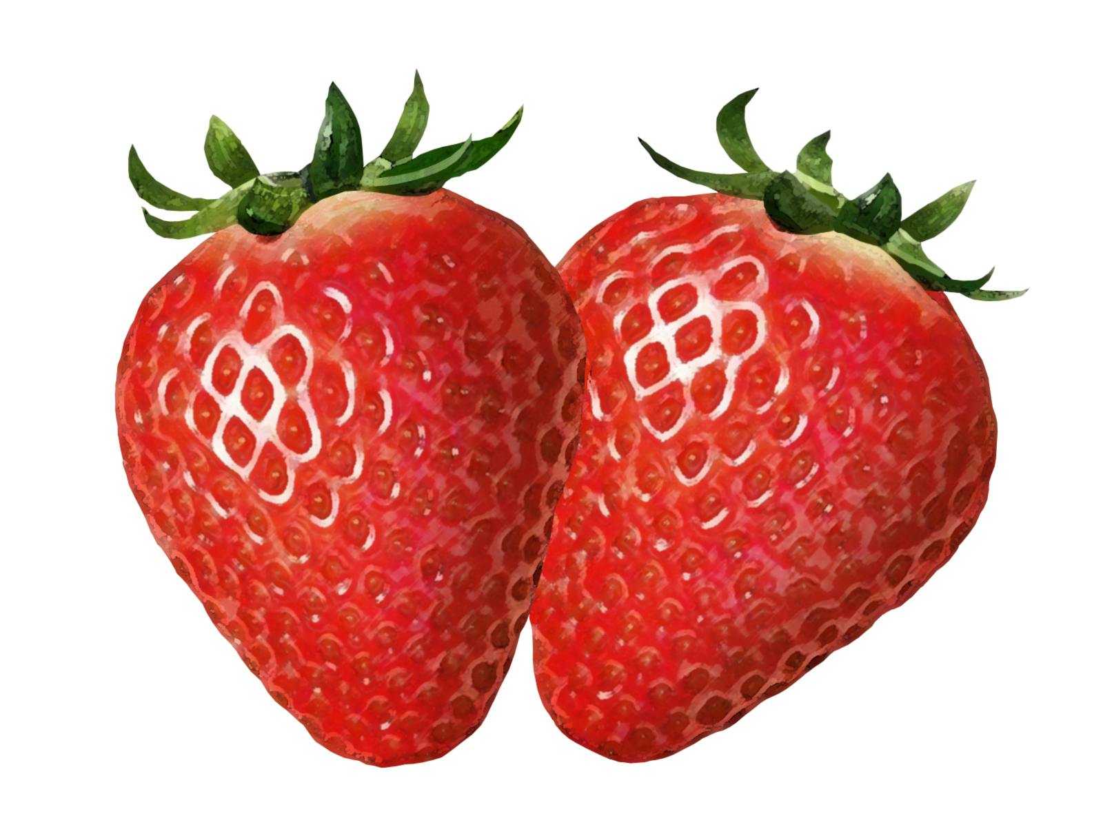 究極のあまおう苺を届けたい！ - CAMPFIRE (キャンプファイヤー)