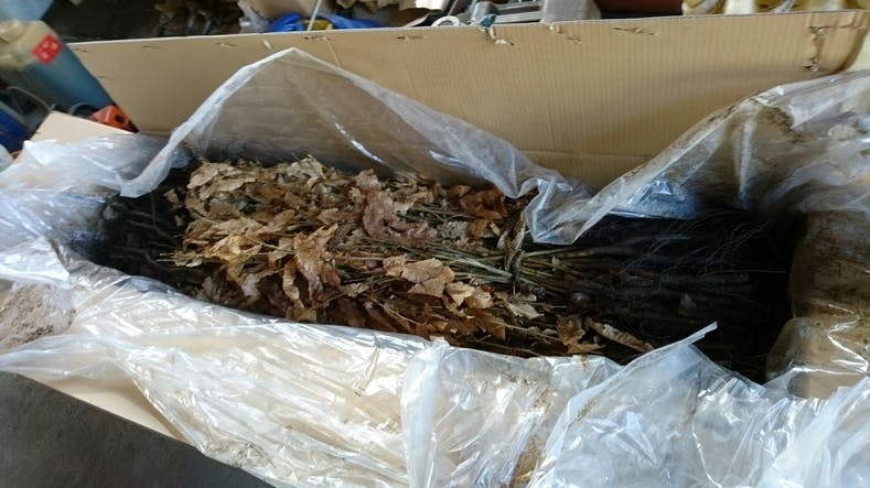 30%達成！ありがとうございますo(^^)o - CAMPFIRE (キャンプファイヤー)