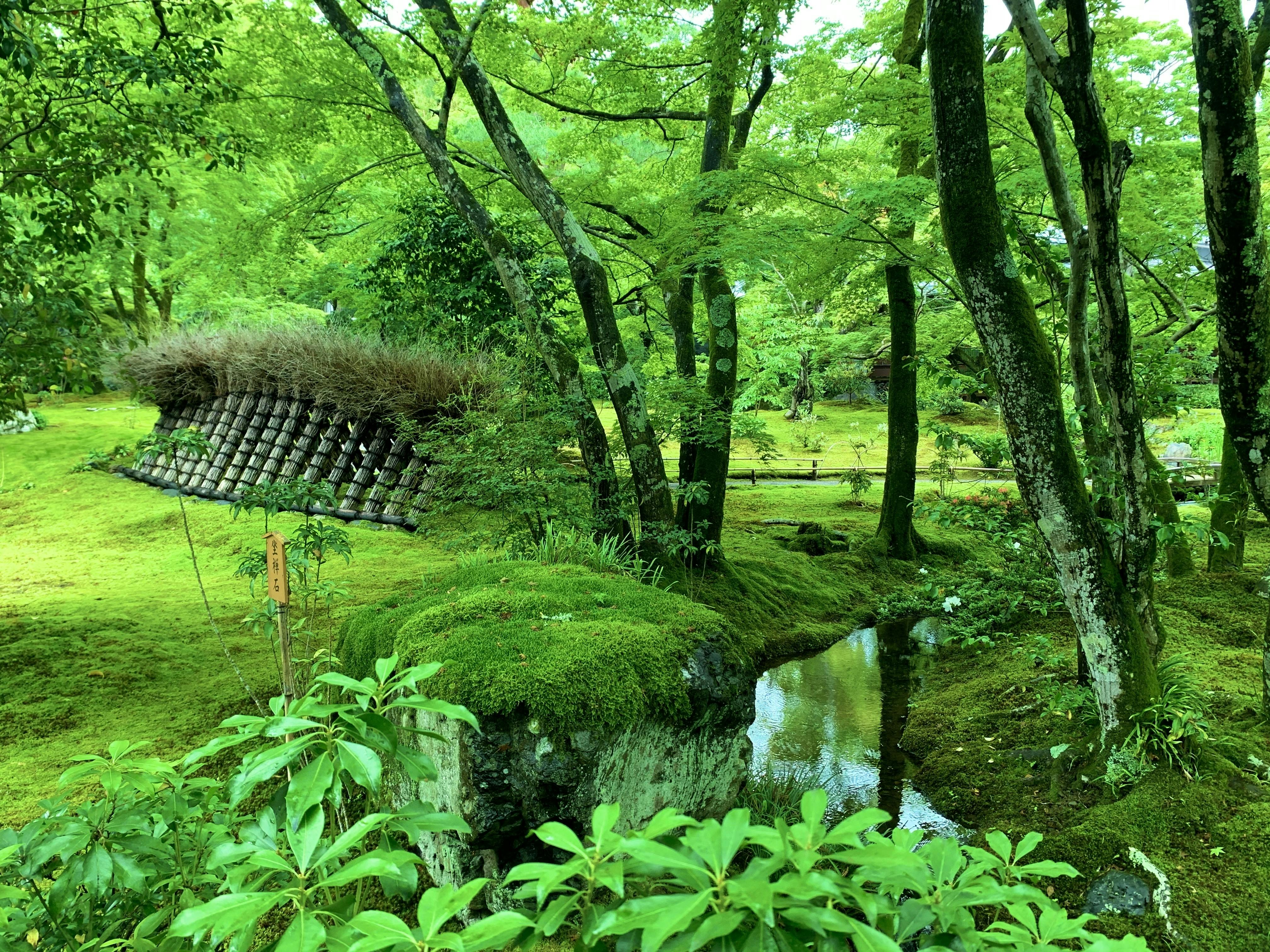 We have exclusive plans based on “social distance” - CAMPFIRE (キャンプファイヤー)