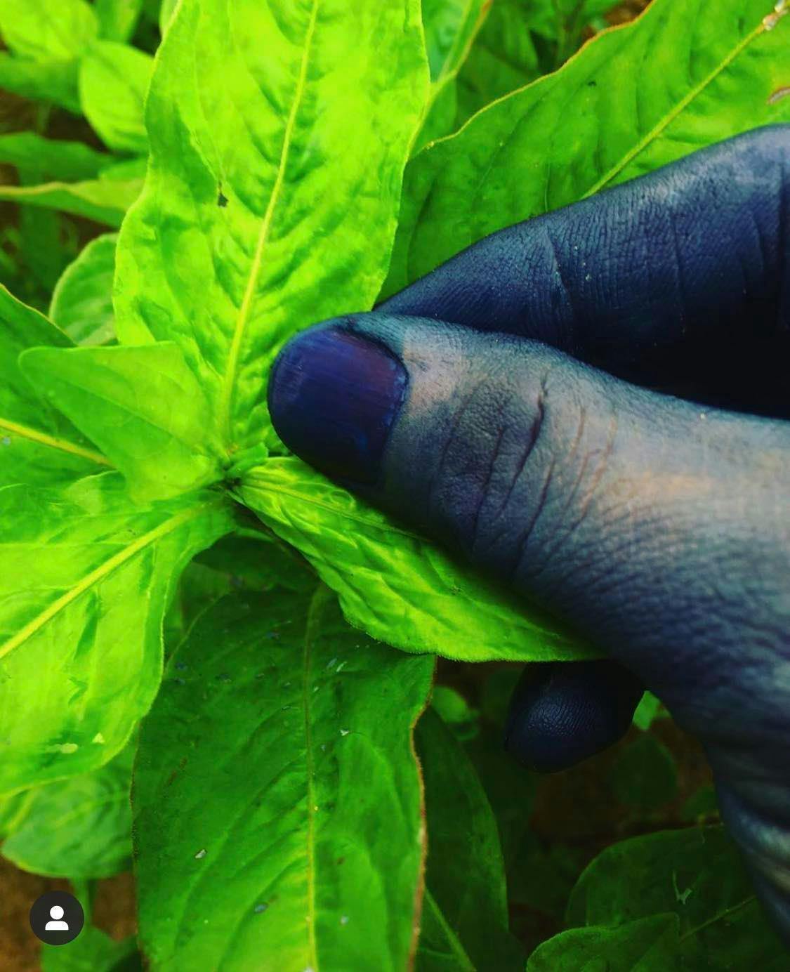 ワークショップのご紹介 『Riddim Blue』 - CAMPFIRE (キャンプファイヤー)