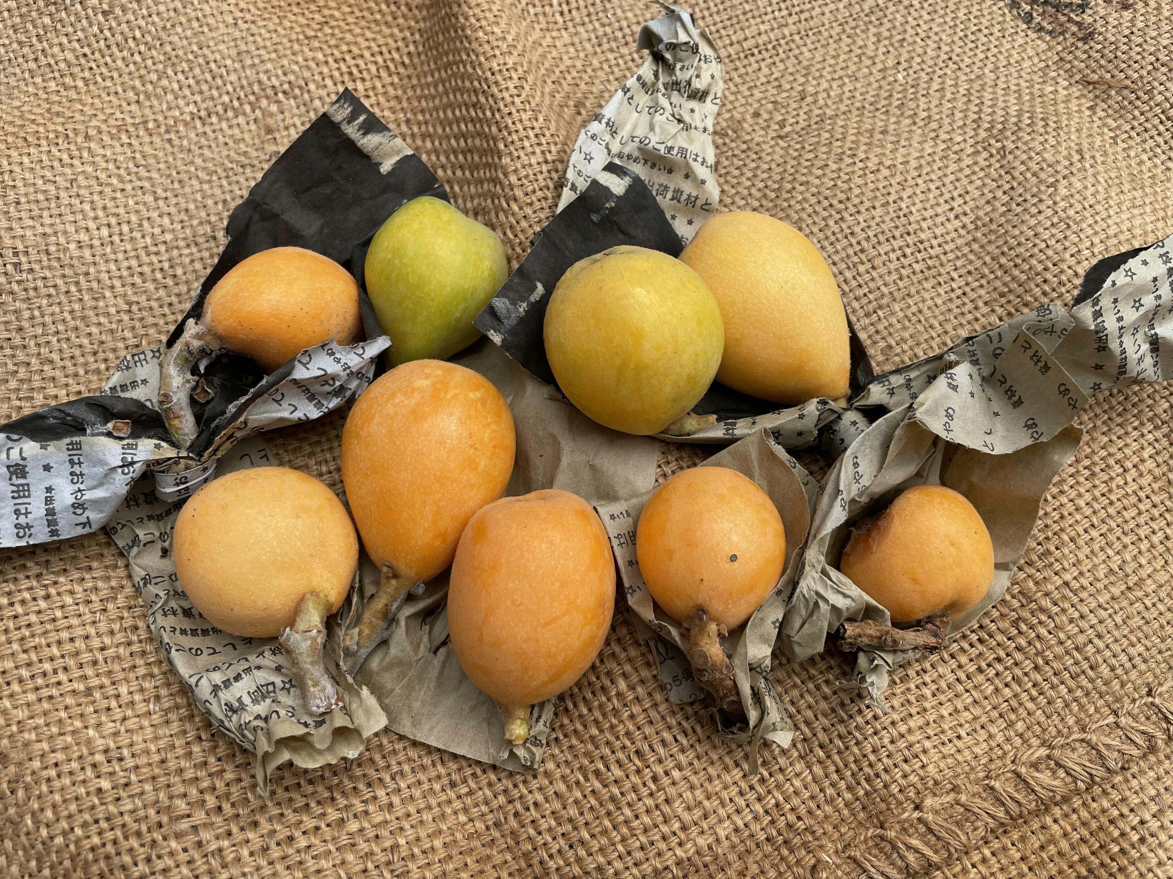 収穫までもう少しです！ - CAMPFIRE (キャンプファイヤー)