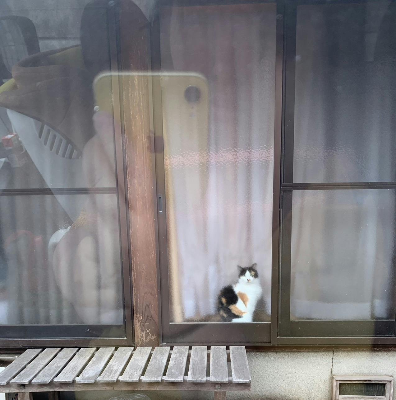 設計士さんに内装の見積もりを依頼しました！ - CAMPFIRE (キャンプファイヤー)