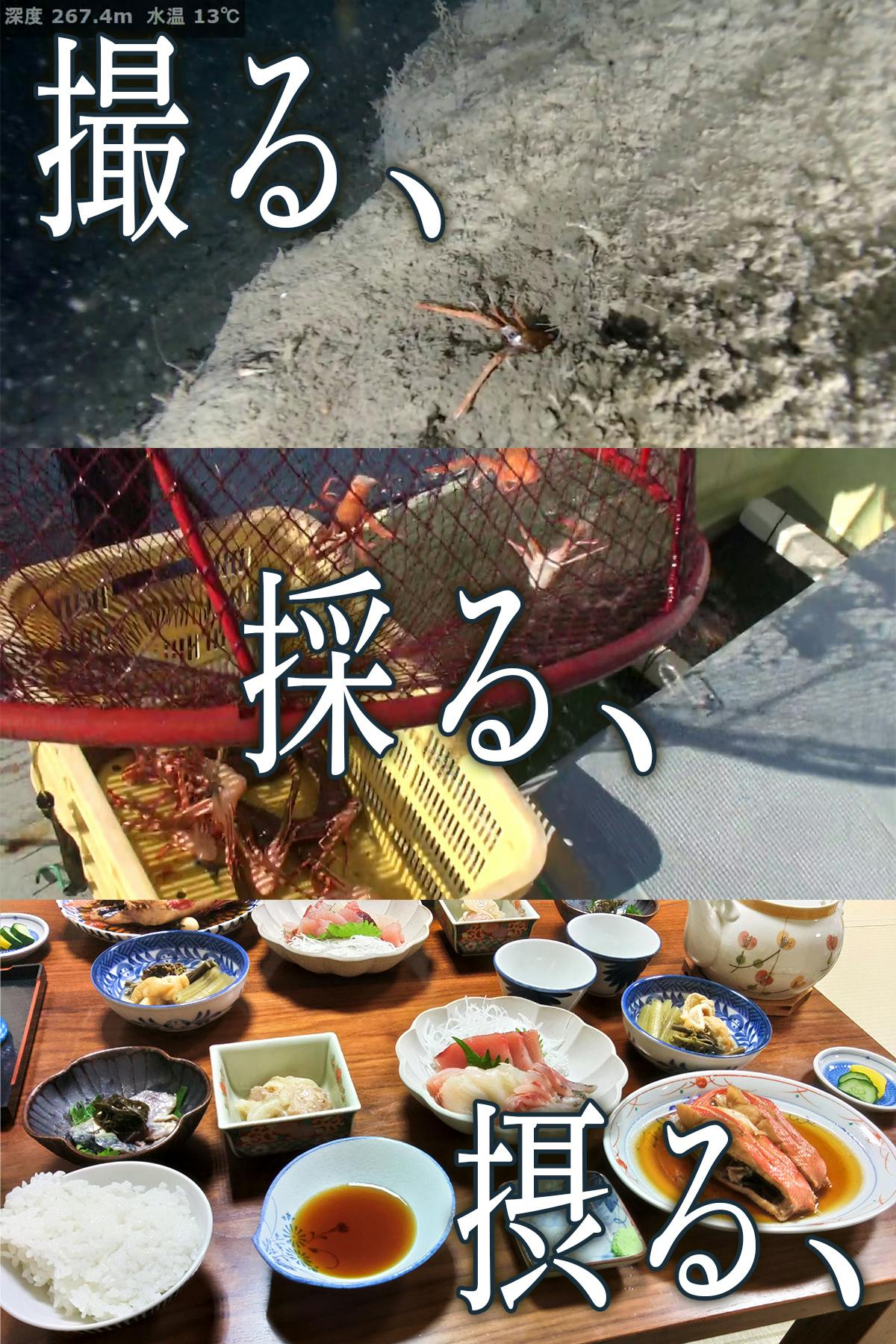 残り2日！追加リターン準備中！ - CAMPFIRE (キャンプファイヤー)