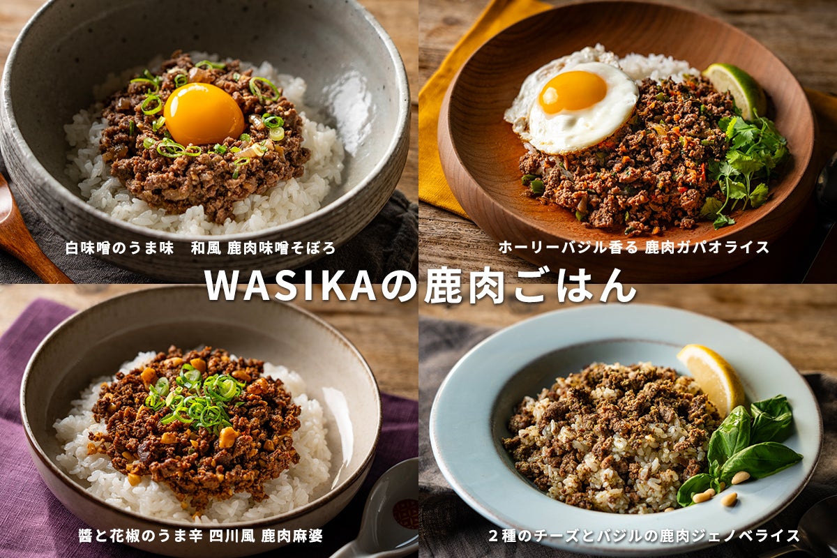 マジか！WASIKA！ 年末・年始も公開中！ - CAMPFIRE (キャンプファイヤー)