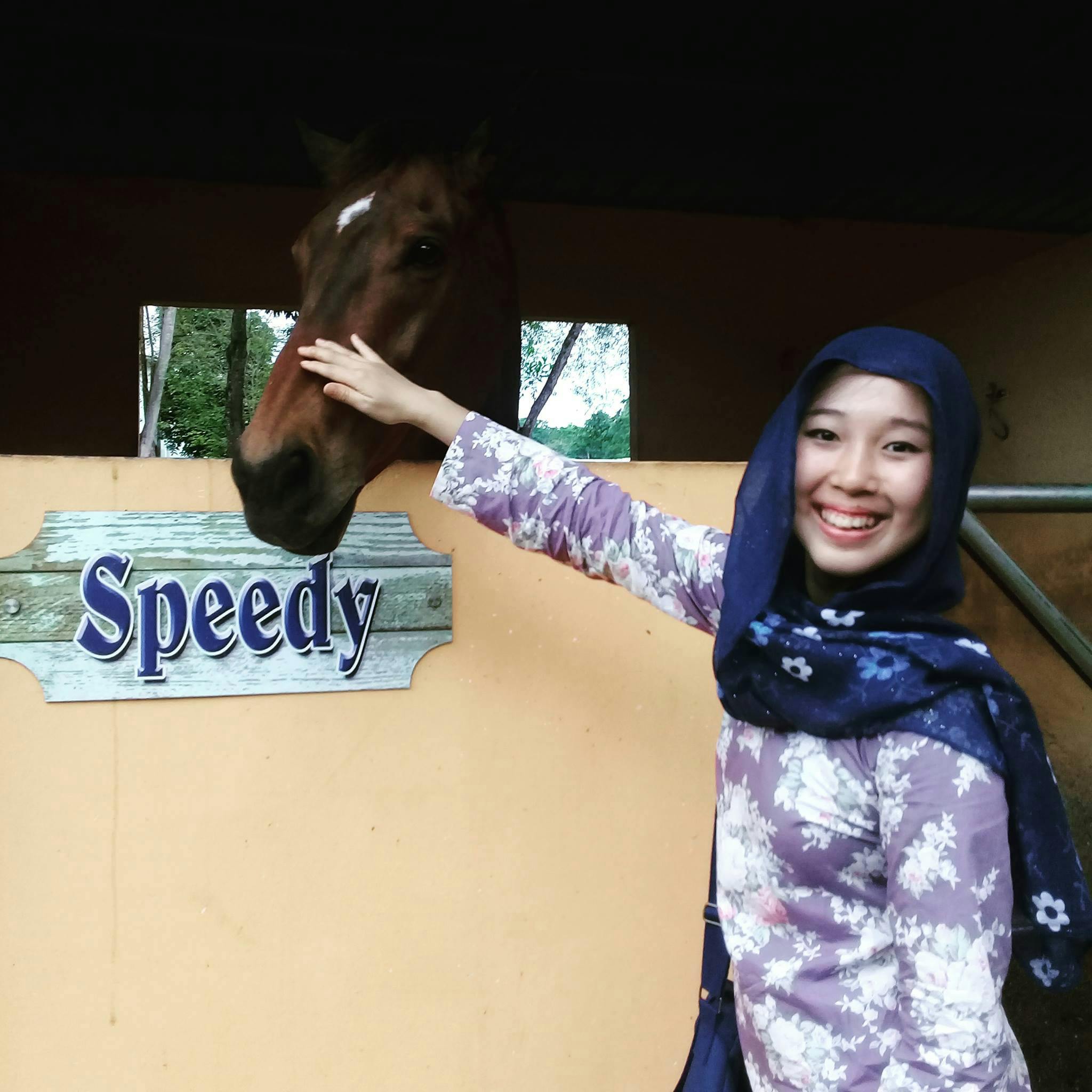 【ブログ】夢の国、JAPAN - CAMPFIRE (キャンプファイヤー)