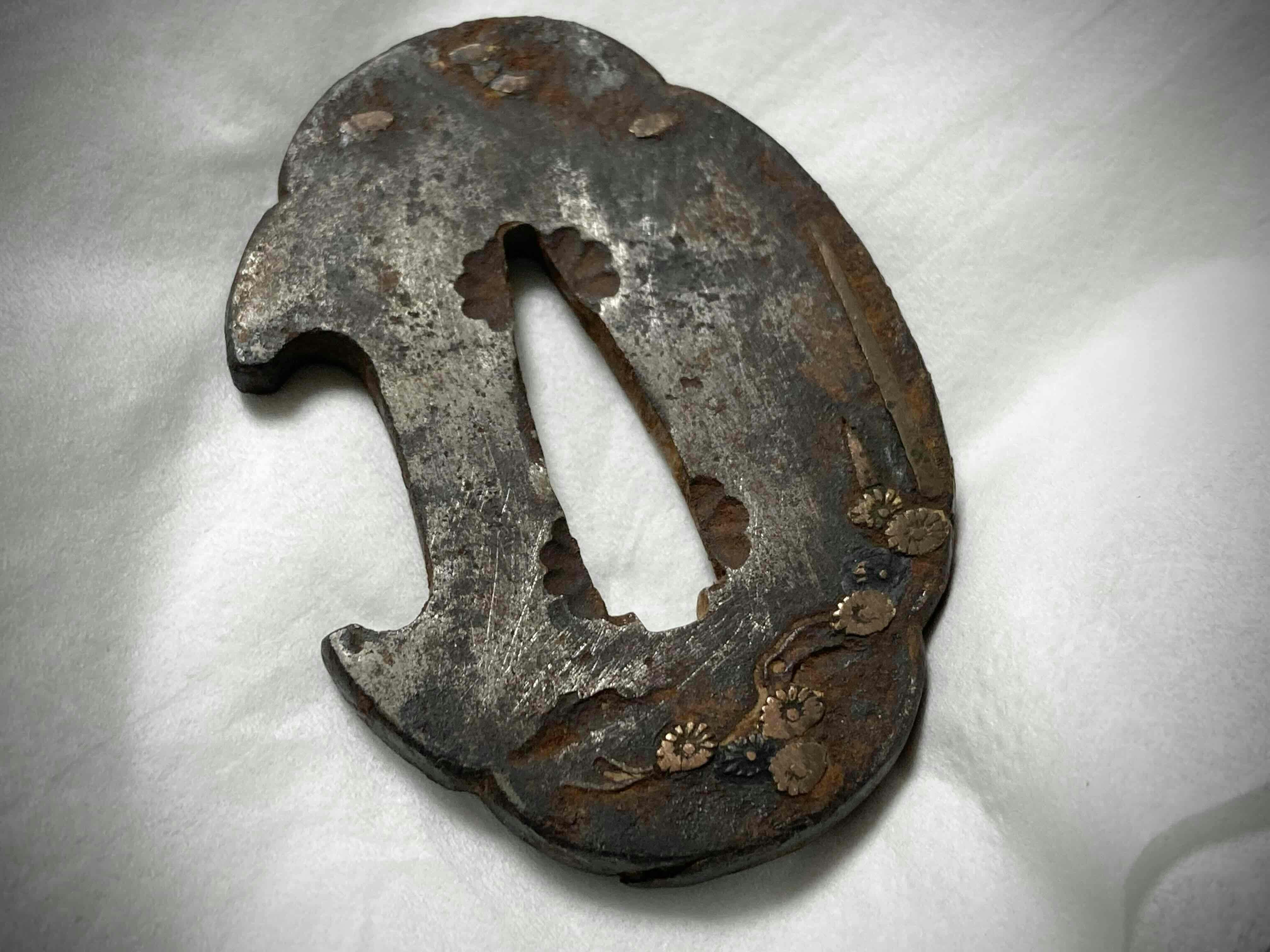 知って見えてくるものこと - CAMPFIRE (キャンプファイヤー)