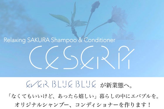 CESERA最終段階♦︎ - CAMPFIRE (キャンプファイヤー)