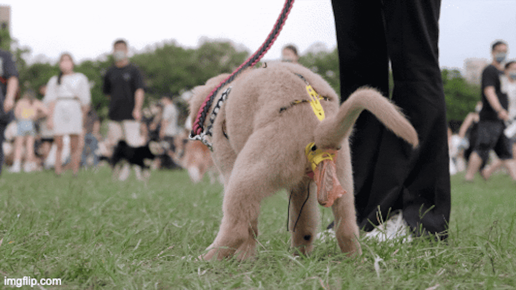 全自動！「Poo-LocKワンちゃんのうんちキャッチャー」アクティビティ - CAMPFIRE (キャンプファイヤー)