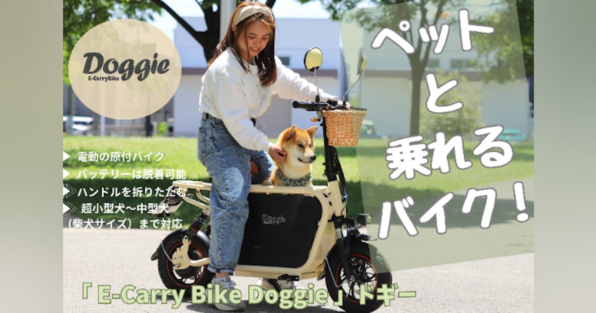 ペットと乗れるバイク 「 E-Carry Bike Doggie 」ドギー 原付 ペットと乗れるバイク 「 E-Carry Bike Doggie 」ドギー 原付