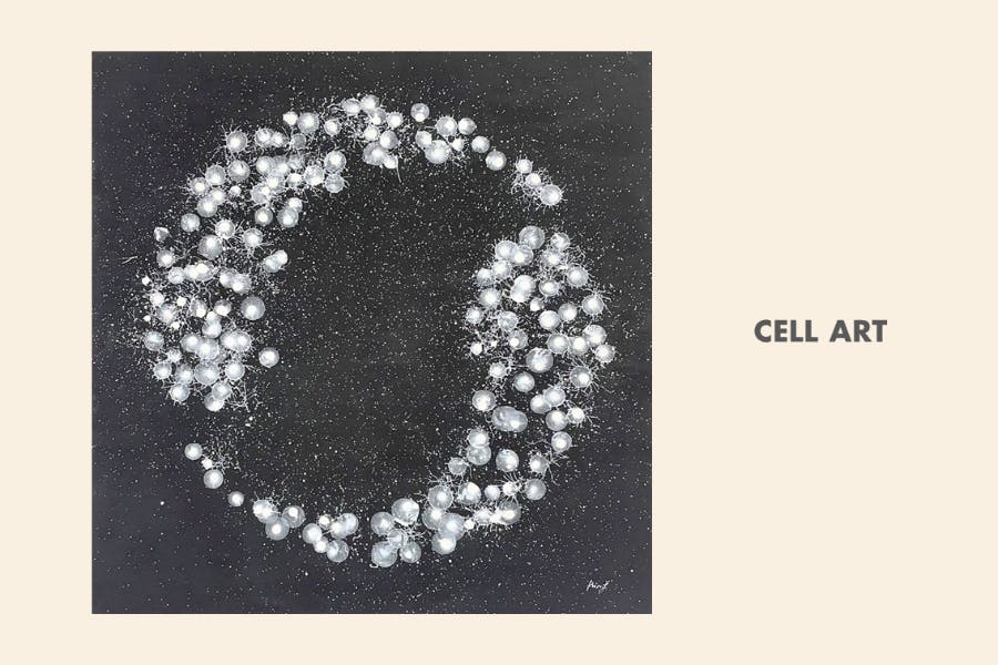 活動報告一覧 - 【CELL Art】展示会 支援プロジェクト - CAMPFIRE (キャンプファイヤー)