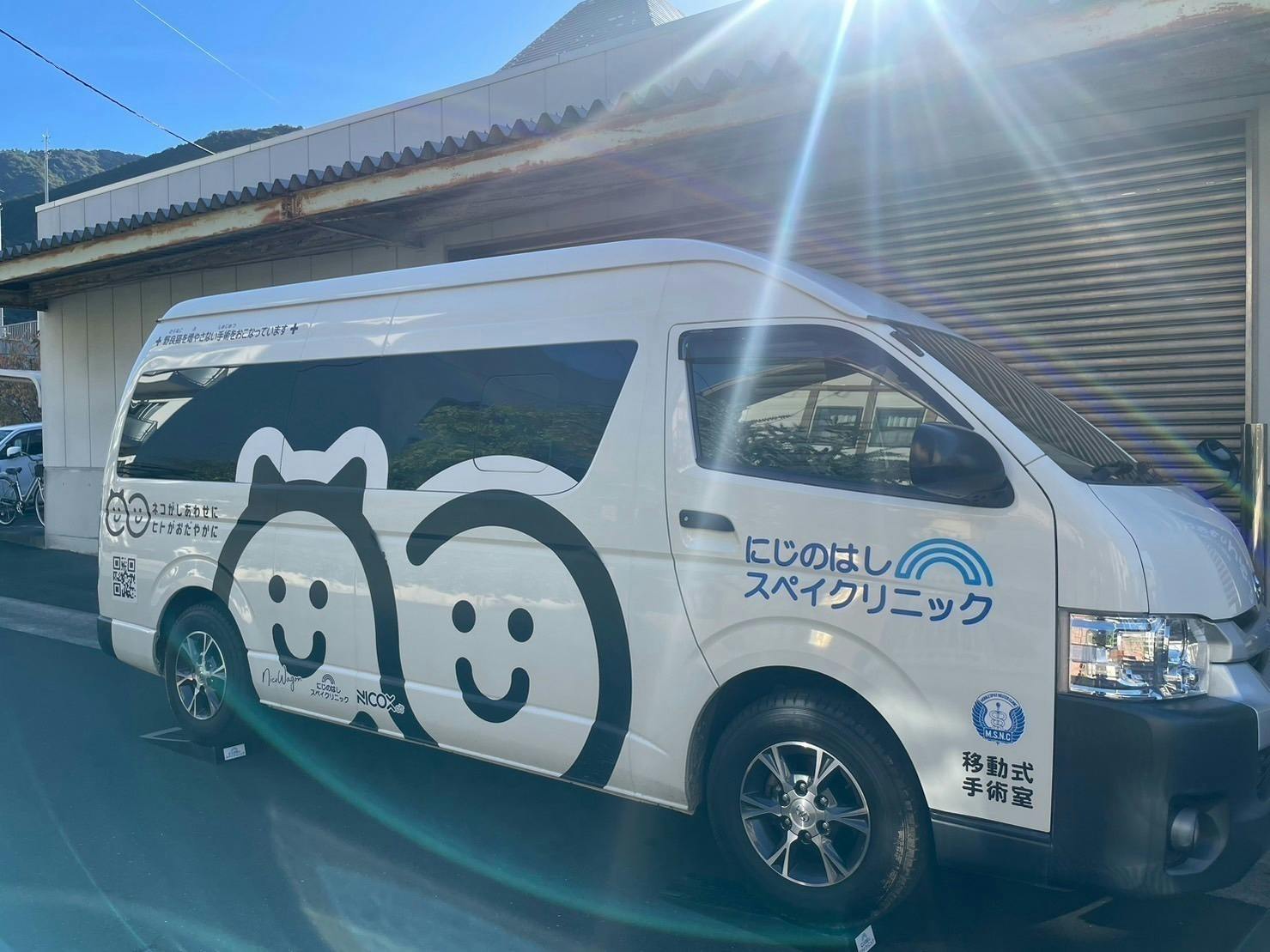 人も猫も幸せに暮らしていける町にしたい！地域猫すべてに不妊去勢手術を実施します。 - CAMPFIRE (キャンプファイヤー)