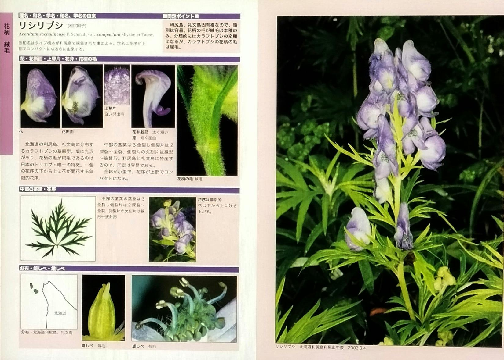 "日本初！トリカブト図鑑制作プロジェクト" - CAMPFIRE (キャンプファイヤー)