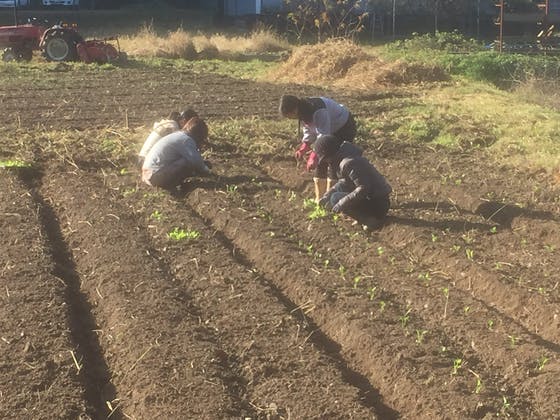 活動報告一覧 - 安全な食を提供し農業の担い手を増やす為の資金 - CAMPFIRE (キャンプファイヤー)