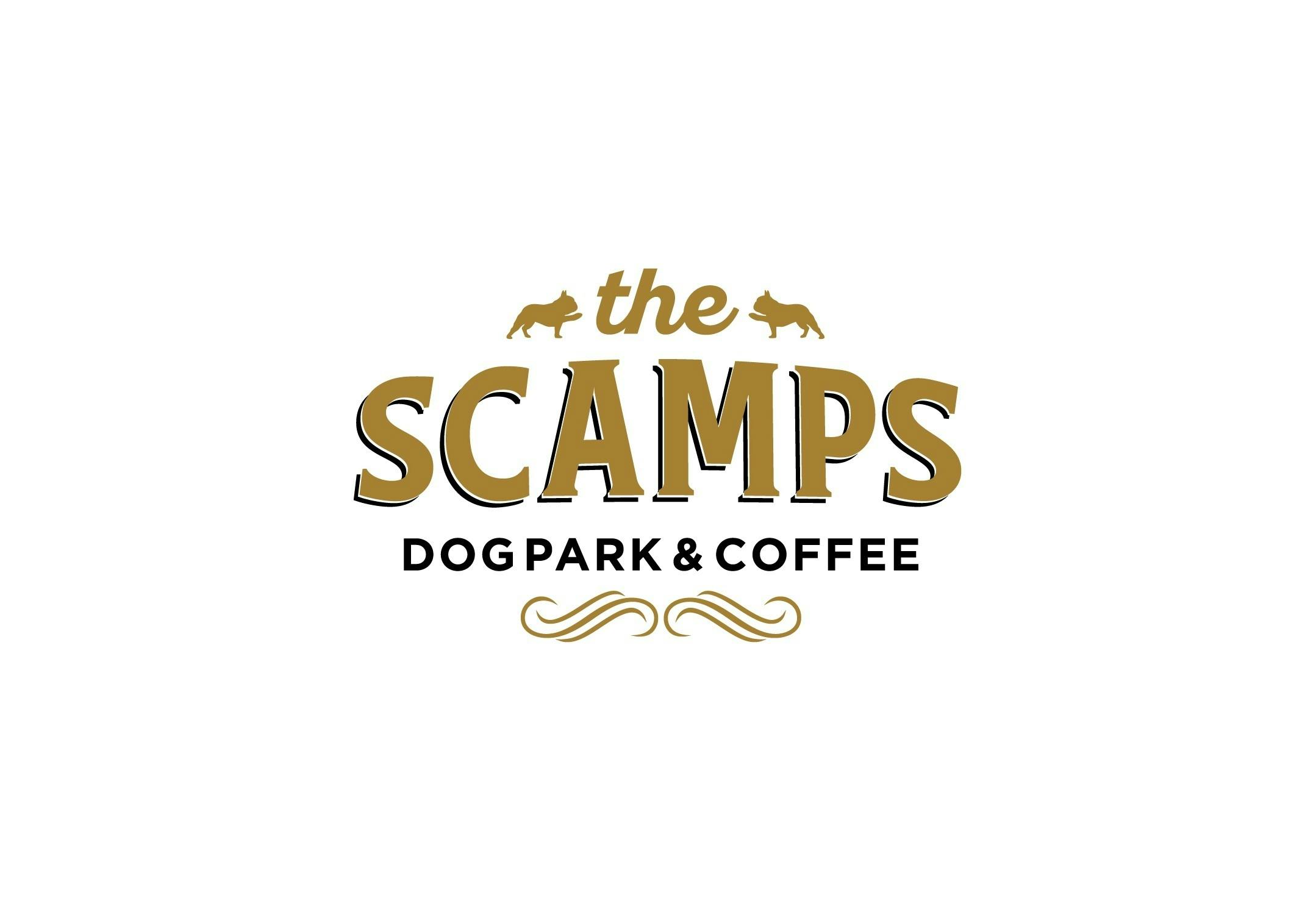 the SCAMPS（the SCAMPS）のプロフィール - CAMPFIRE (キャンプファイヤー)