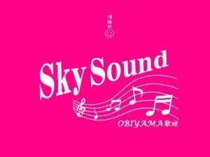 SkySound（SkySound）のプロジェクト - CAMPFIRE (キャンプファイヤー)